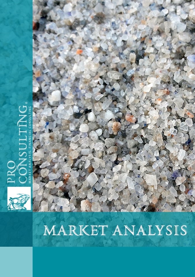 Market research report on technical salt in Ukraine