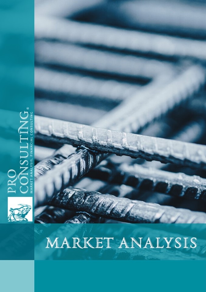 Market research report on composite rebar in Georgia